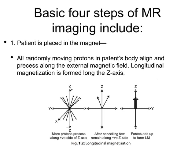 Principles of MRI | PPTX | Chemistry | Science