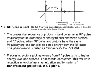 Principles of MRI | PPTX