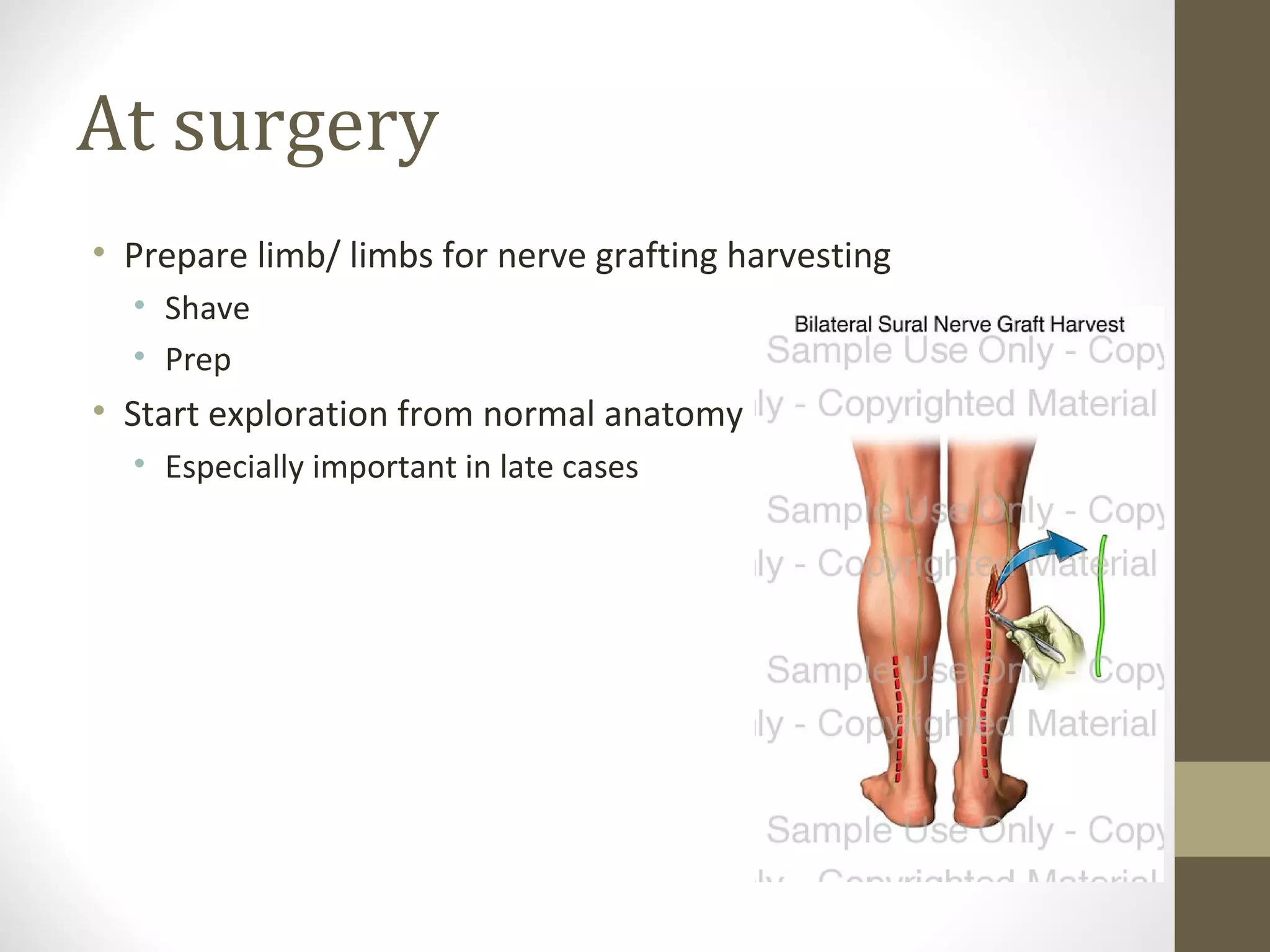 Principles of nerve repair | PPT
