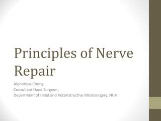 Principles of nerve repair | PPT