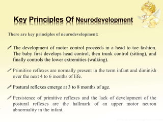 Principles of Neurodevelopment in Newborn Dr.Hanan Elwadia | PPTX