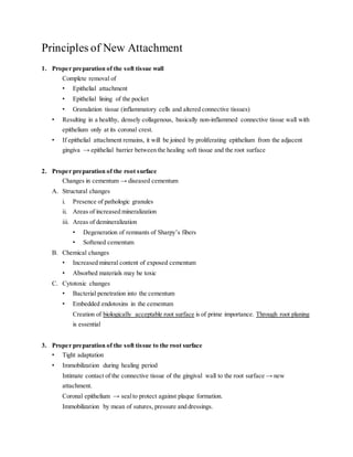 Principles of new attachment | DOCX