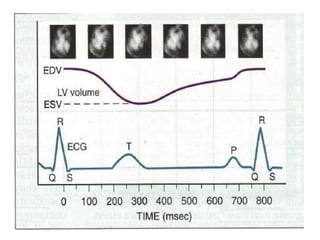 Principles of nuclear cardiology | PPSX