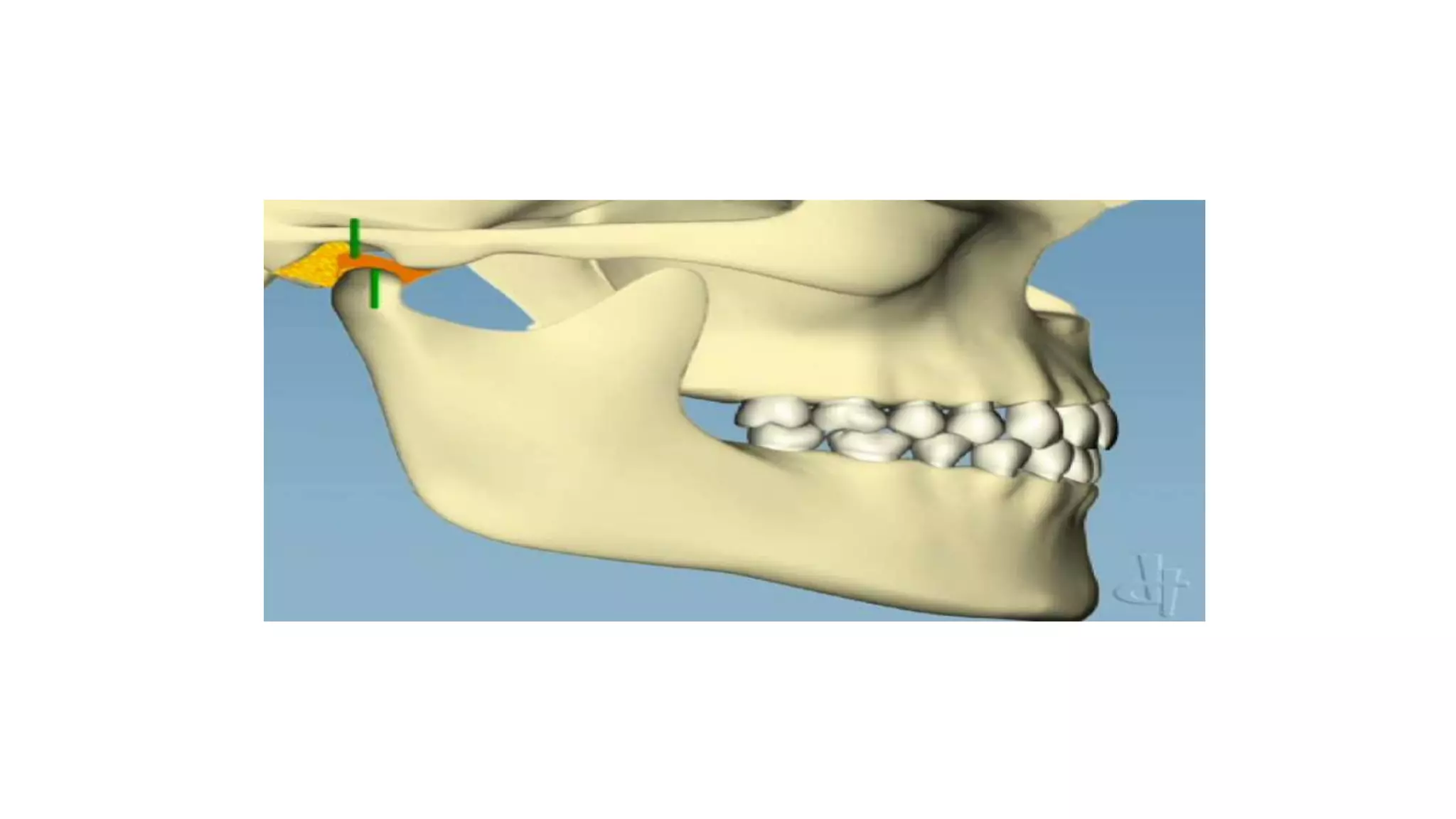 Principles of occlusion.pptx