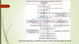 Principles of oncology | PPTX