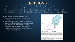 Principles of oral surgery | PPTX
