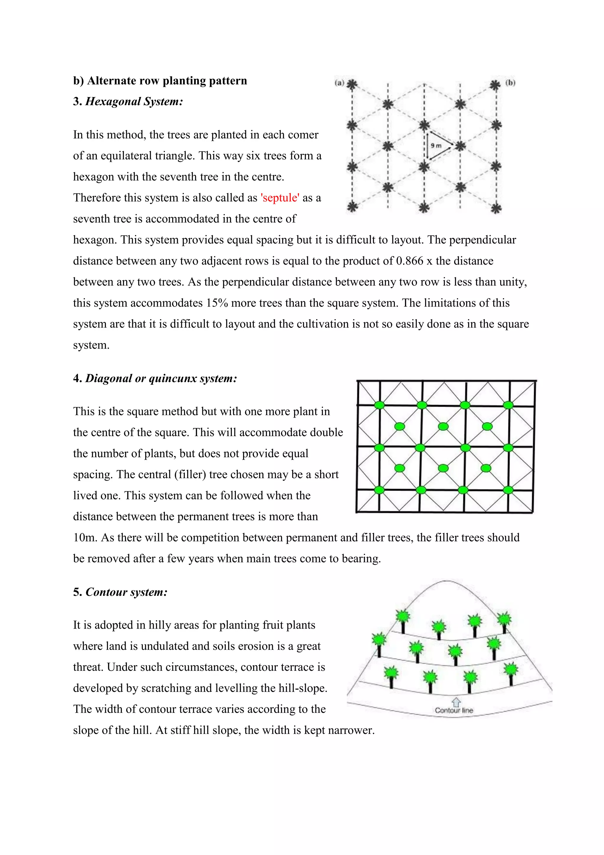Principles of orchard establishment | PDF