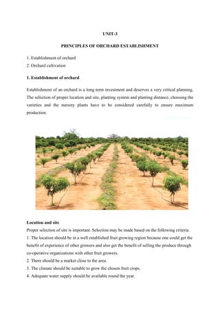 Principles of orchard establishment | PDF