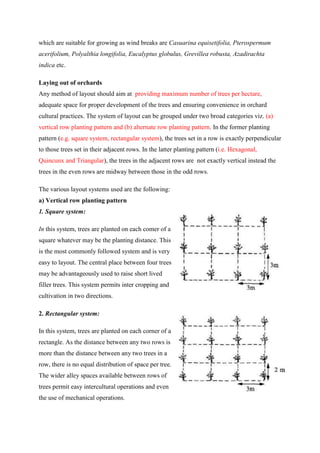 Principles of orchard establishment | PDF