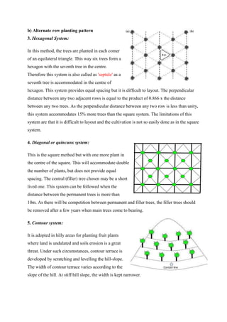 Principles of orchard establishment | PDF