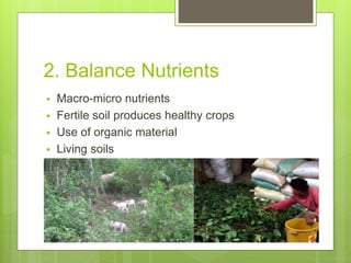 Principles of Organic Agriculture.pptx