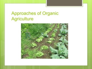 Principles of Organic Agriculture.pptx