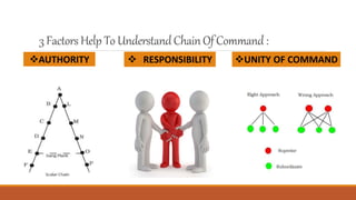 Principles of organisation | PPTX