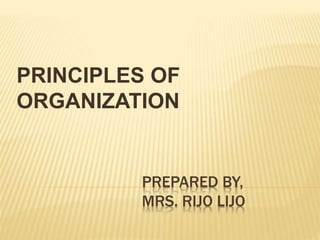 Principles of Organization | PPTX