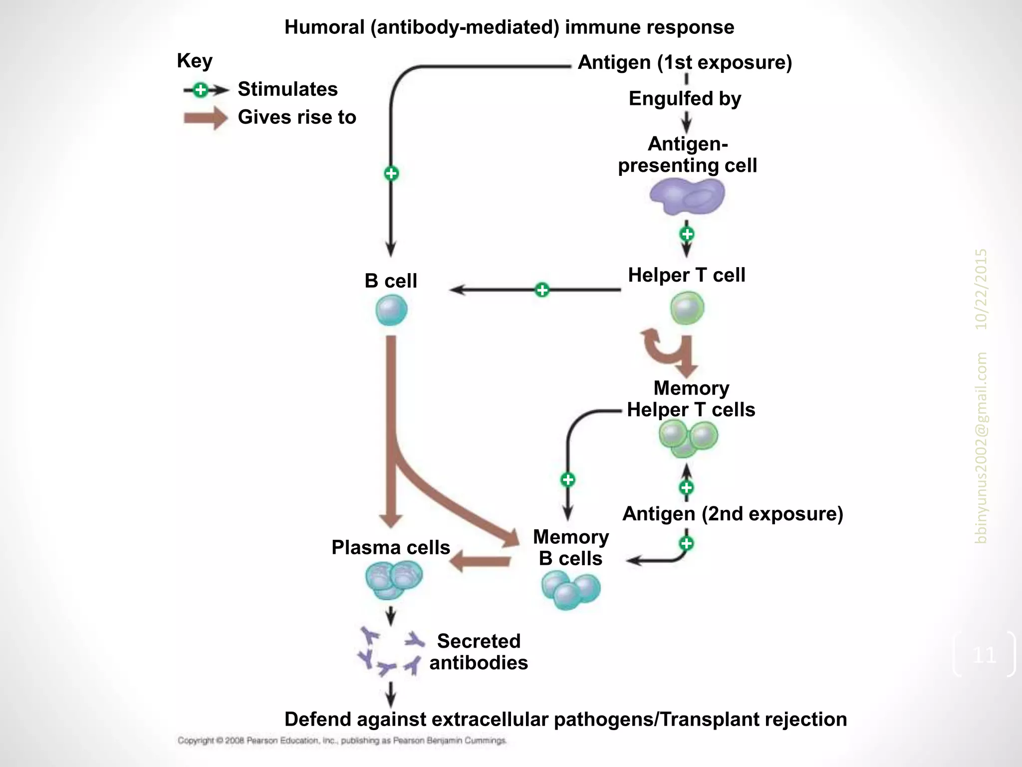 Principles of organ transplant and Renal transplant | PPTX
