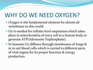 PRINCIPLES OF OXYGEN THERAPY copy.pptx