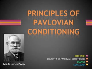 Principles of pavlovian conditioning | PPTX | Dogs | Pets