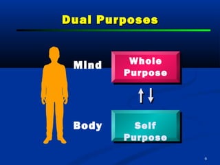Principles of peacebuilding to lecture | PPT