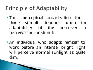 Principles of perception in organisational behaviour | PPTX