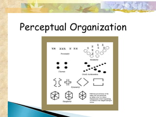 Principles of perception in organisational behaviour | PPTX