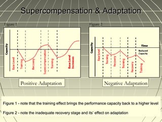 Principlesof periodization | PPT