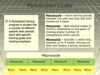 Principlesof periodization | PPT