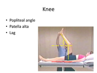 Principles of physical examination | PPTX