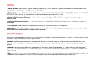 Principles of Plant Biotechnology | PDF