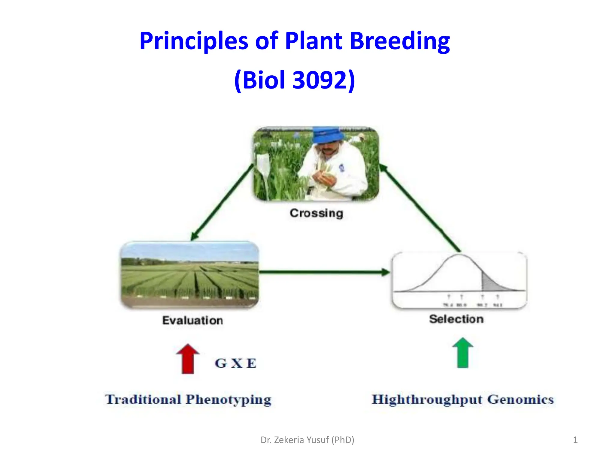 Principles of plant breeding Lecture note.pdf | Agriculture | Industries
