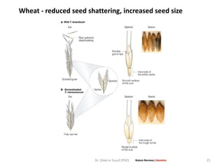 Principles of plant breeding Lecture note.pdf