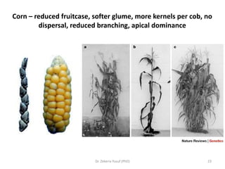 Principles of plant breeding Lecture note.pdf