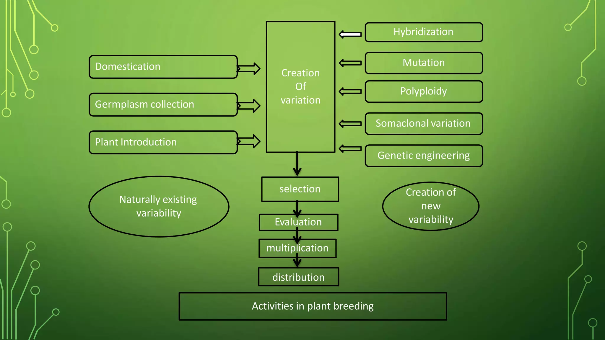 Principles of plant breeding. | PPTX