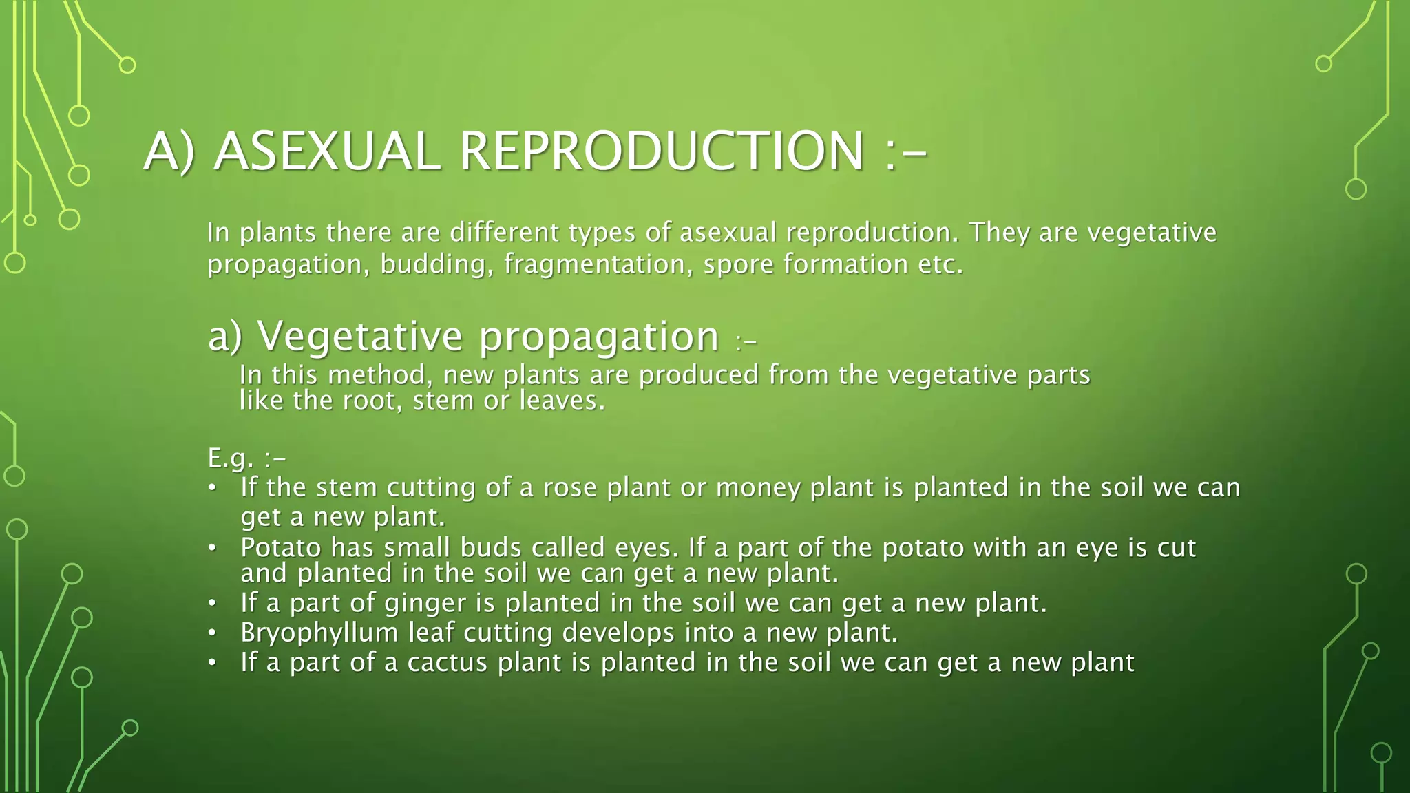 Principles of plant breeding. | PPTX