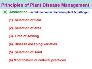 Principles of plant disease management | PPT