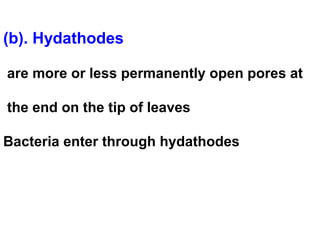 Principles of plant infection | PPT