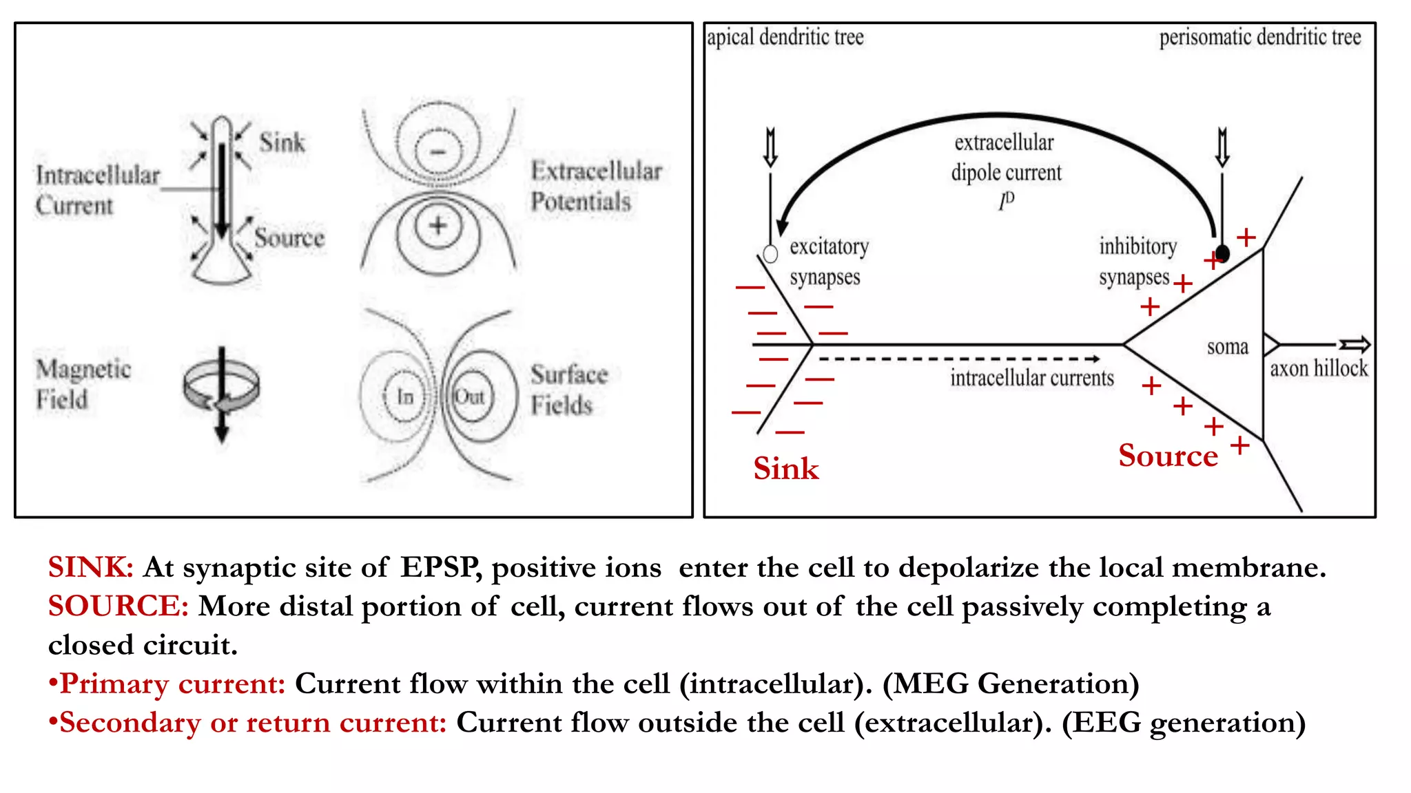 Principles of polarity in eeg | PPTX