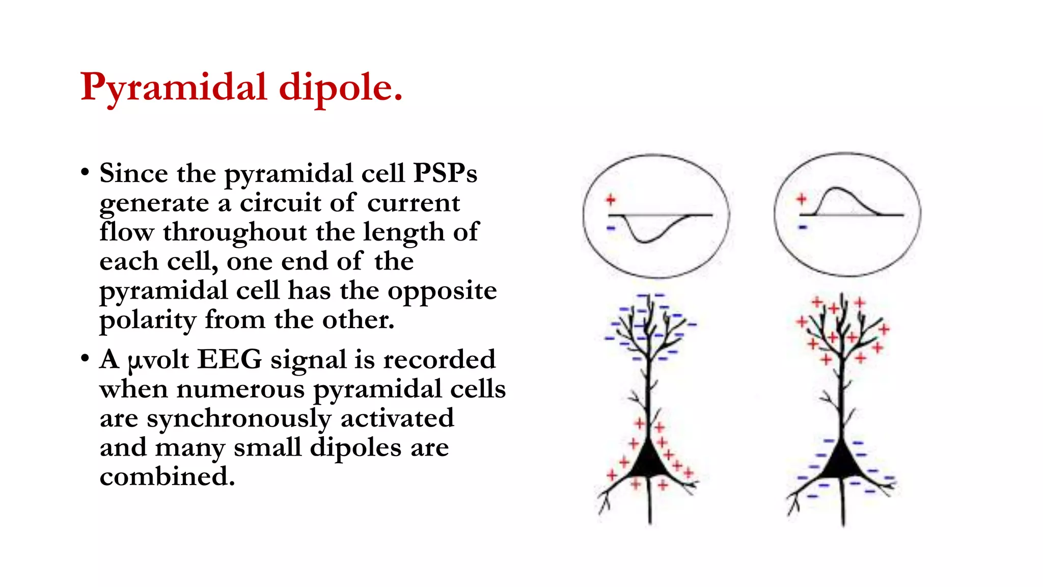 Principles of polarity in eeg | PPTX