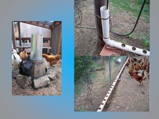 Principles of poultry | PPTX