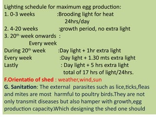 principles of poultry housing and housing system.pptx