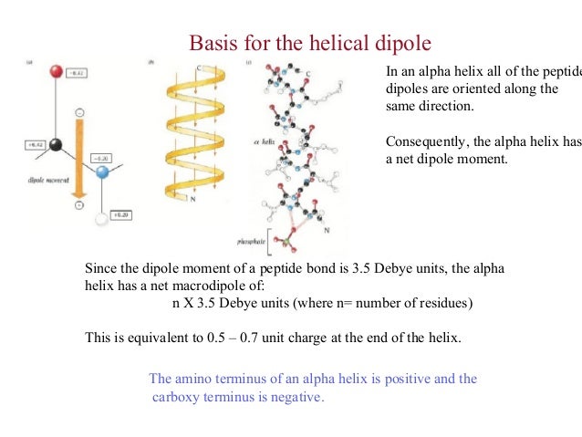 Principles of Protein Structure