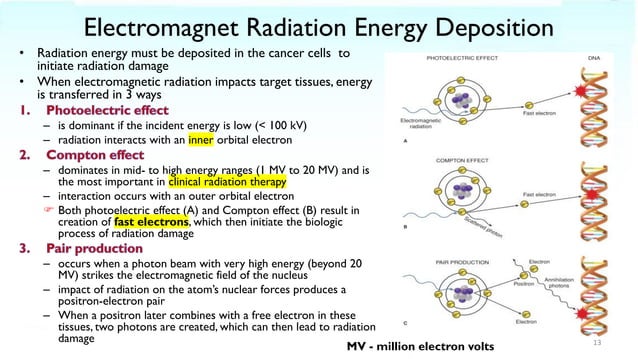 Principles of Radiation Therapy (July 2021) | PDF