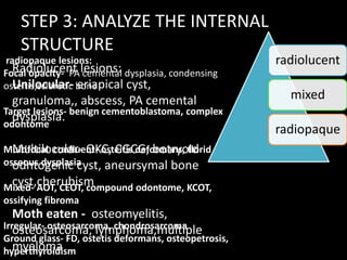 Principles of radiographic interpretations | PPTX