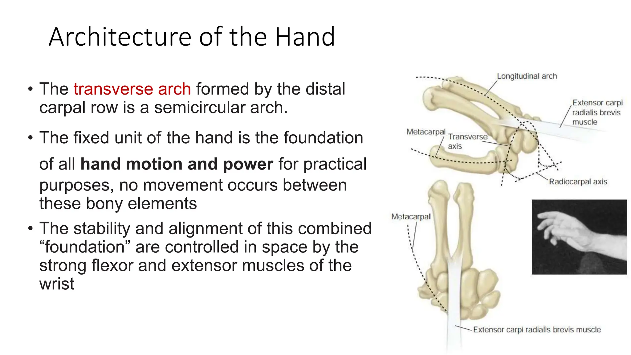 Principles of Reconstructions of Pediatric Hand.pptx