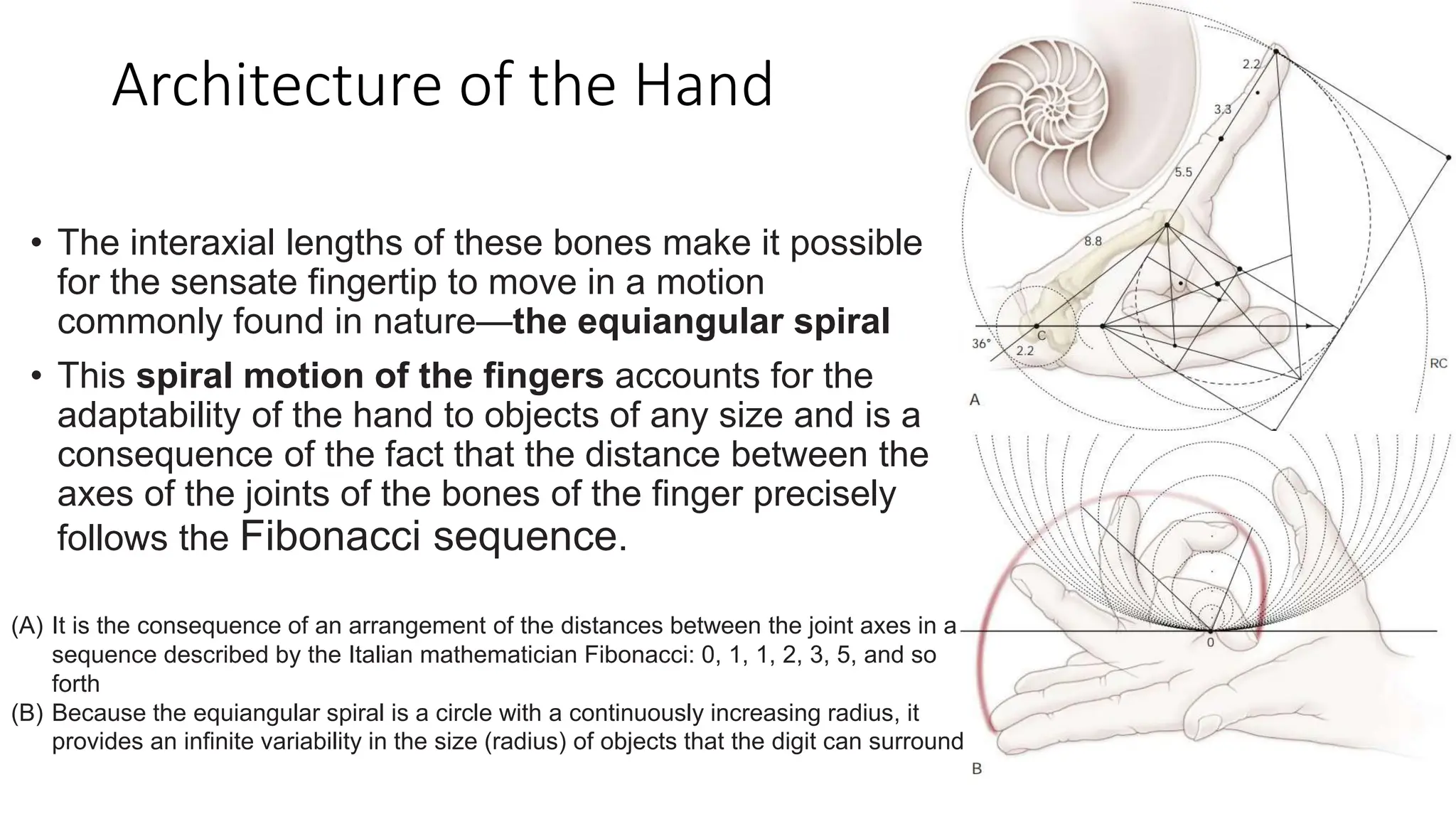 Principles of Reconstructions of Pediatric Hand.pptx