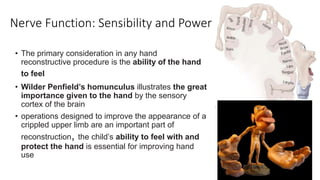 Principles of Reconstructions of Pediatric Hand.pptx