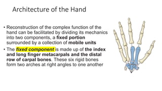 Principles of Reconstructions of Pediatric Hand.pptx