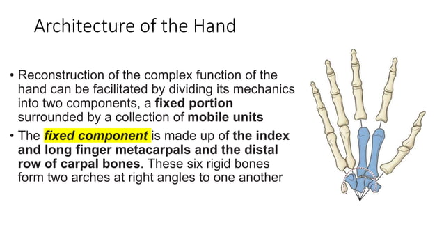 Principles of Reconstructions of Pediatric Hand.pptx