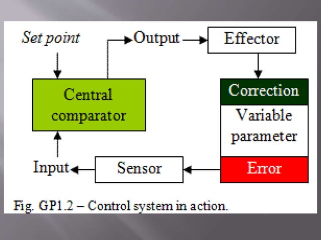 Principles of regulation: control system. | PPTX