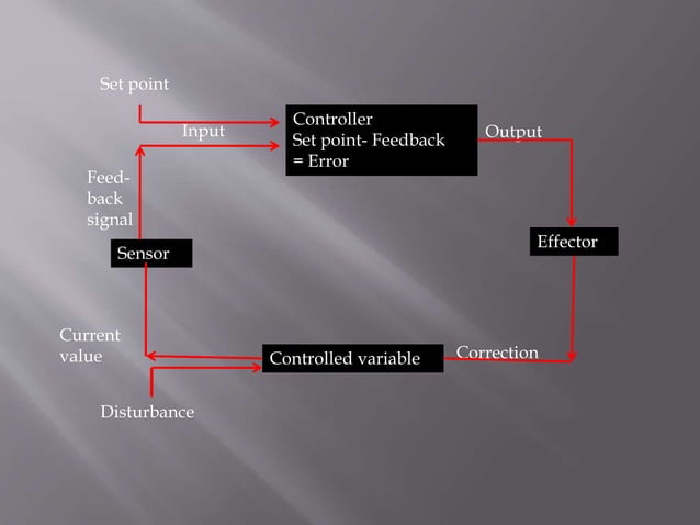 Principles of regulation: control system. | PPTX