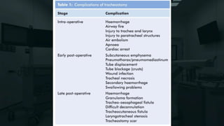 Principles of Revision FESS | PPTX